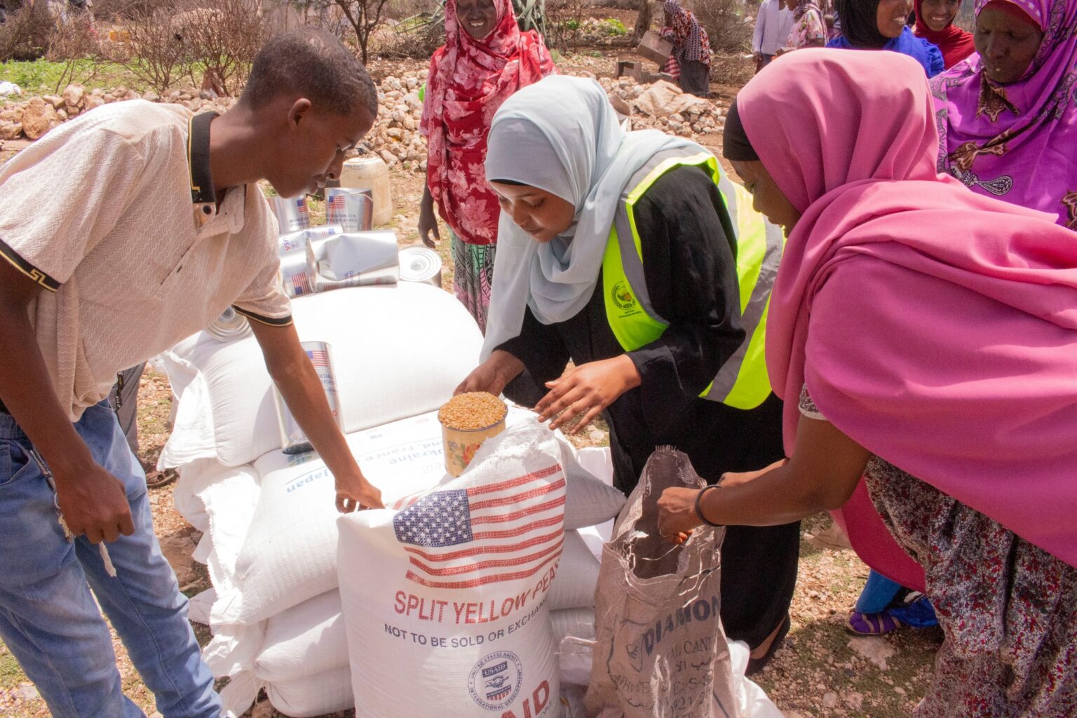 Livelihood & Food Security – Asal Youth Organization